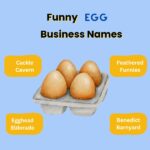 320+ Egg Business Names (Duck and Quail)