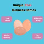 320+ Egg Business Names (Duck and Quail)