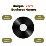 250+ Vinyl Business Names (Custom and Professional)